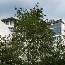 Hier, aujourd'hui et demain : introspection de la place de l’économie ...